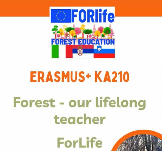 Spletno srečanje Erasmus+ projekta: Gozd – naš vseživljenjski učitelj ...